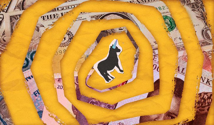 The startup pivot: Payporte's story